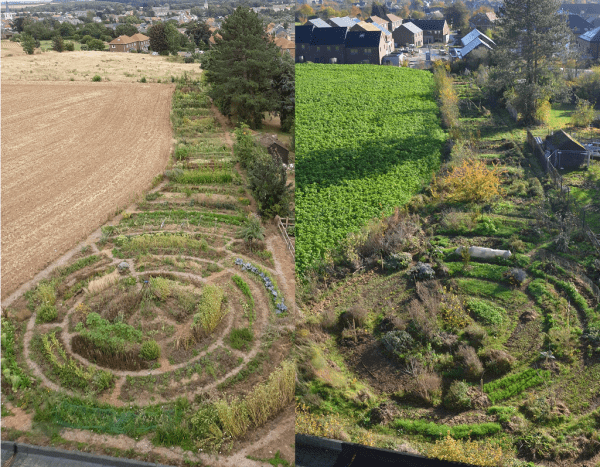 Les mandalas de cultures - Le Potager du Gailleroux, permaculture ...